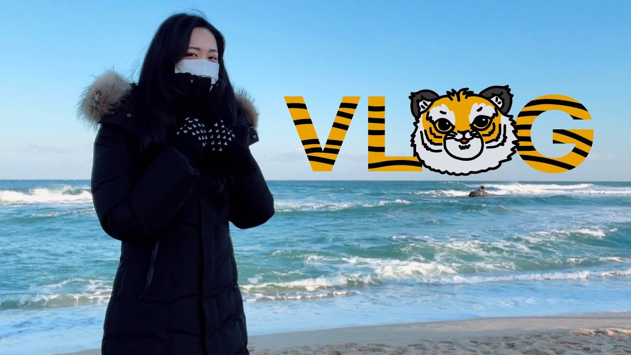 Vlog 져니로그 직장인 브이로그끊임없이 먹는 연말 연초 일상강릉여행안목해변더플레이스김치파스타대게 택배 주문달리온반찬만들기고양이와 함께하는 일상 브이