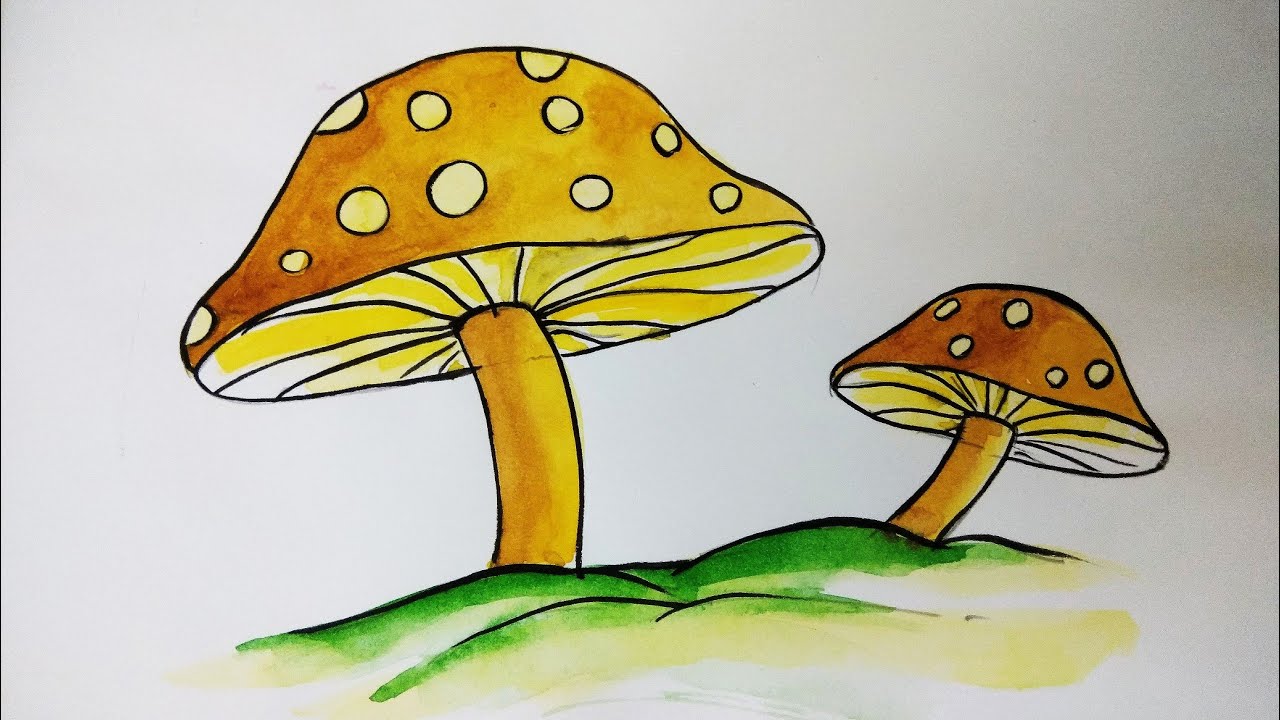 #NIDAL_Drawing Tutorial. Mushroom drawing. Drawing and colouring of ...