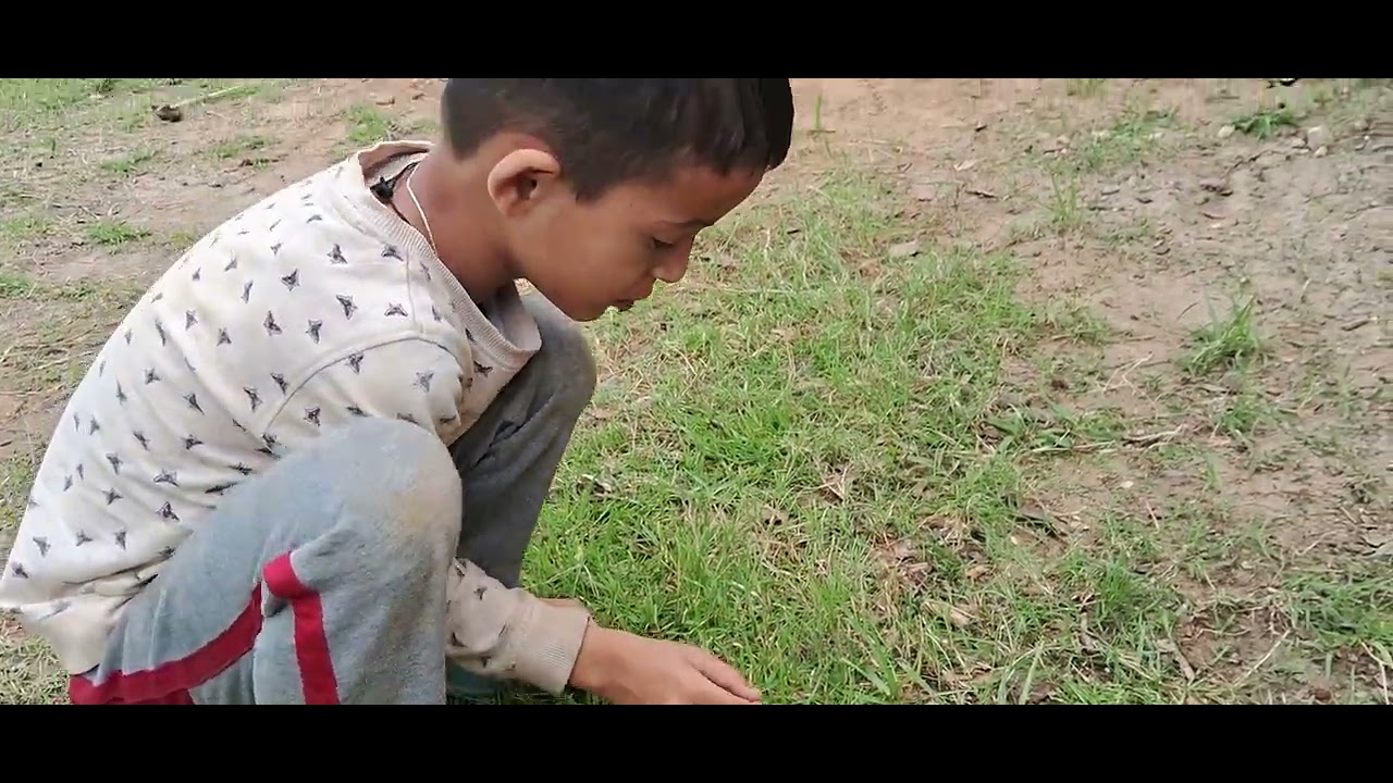 @BMPK@Tandomclick#daant#naya_daant#parampara - YouTube