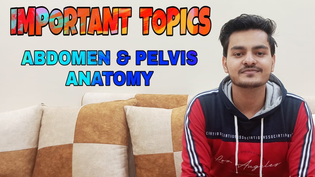 Important Topics L Abdomen And Pelvis Anatomy YouTube important-topics-l-abdomen-and-pelvis-anatomy-youtube