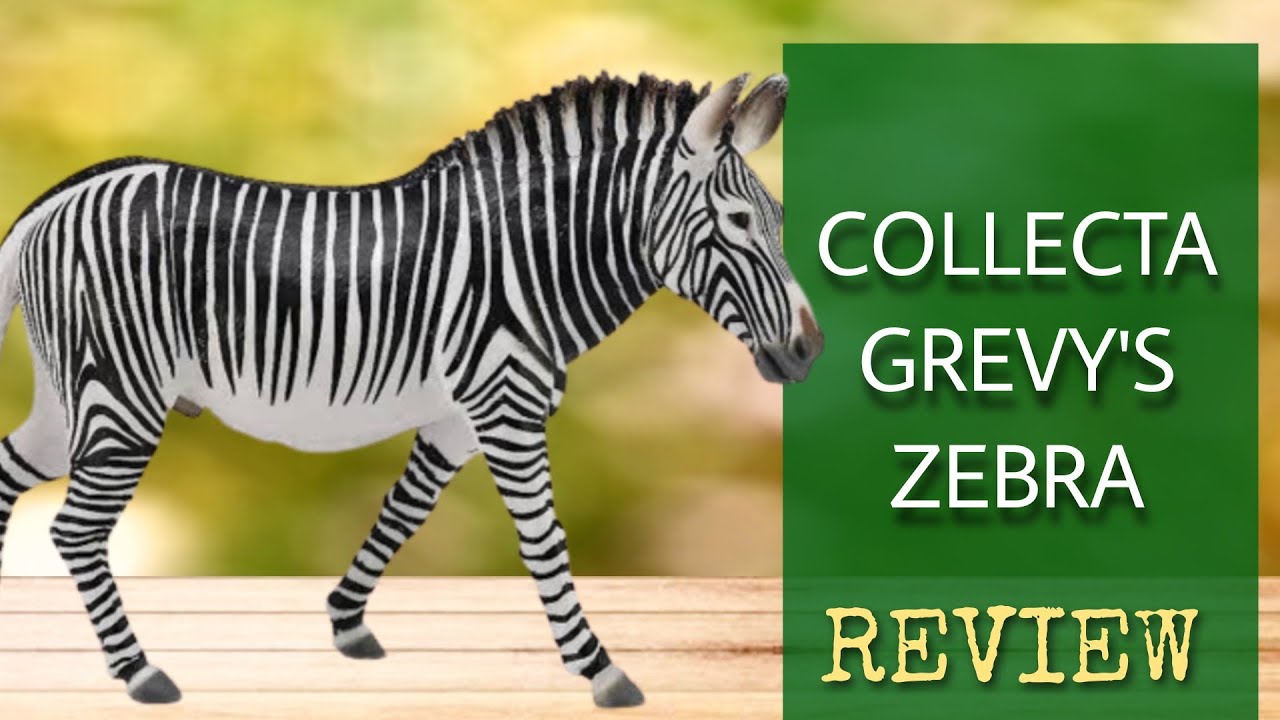The CollectA Grevy's zebra 😍 Fast & Closer review / Animal figurines ...