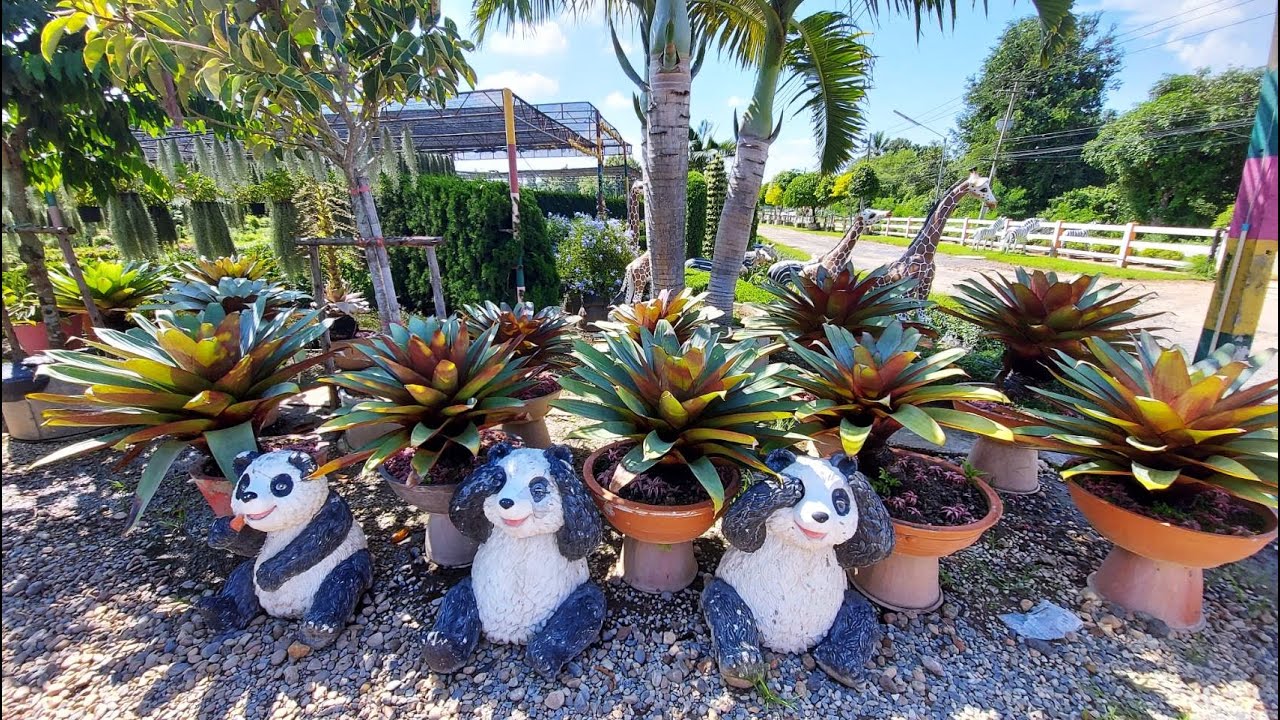 Mini zoo in the Garden. Big Bromeliad and vertical garden - YouTube
