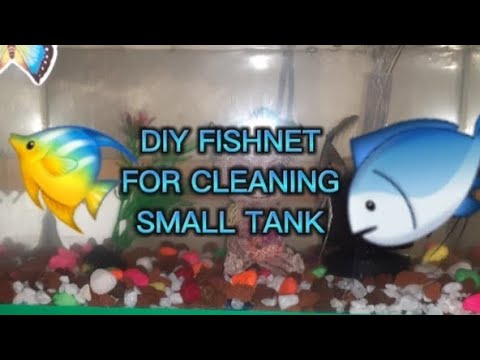 DIY FISHNET, FOR CLEANING SMALL FISHTANK #youtubevideo  #tiktok #capcut #tiktokviral #fyp #trending