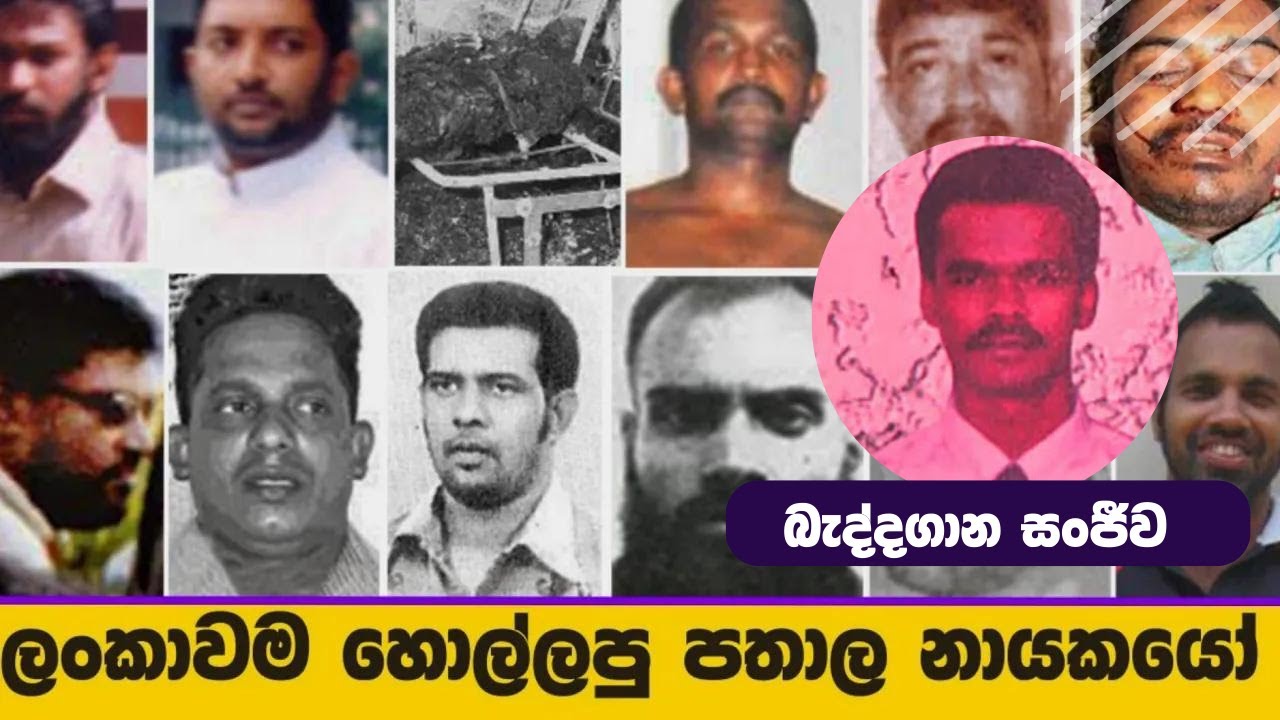 ලංකාව හොල්ලපු පතාල නායකයන්ගේ පැටිකිරිය | Episode 05 Gini awi saha gini ...