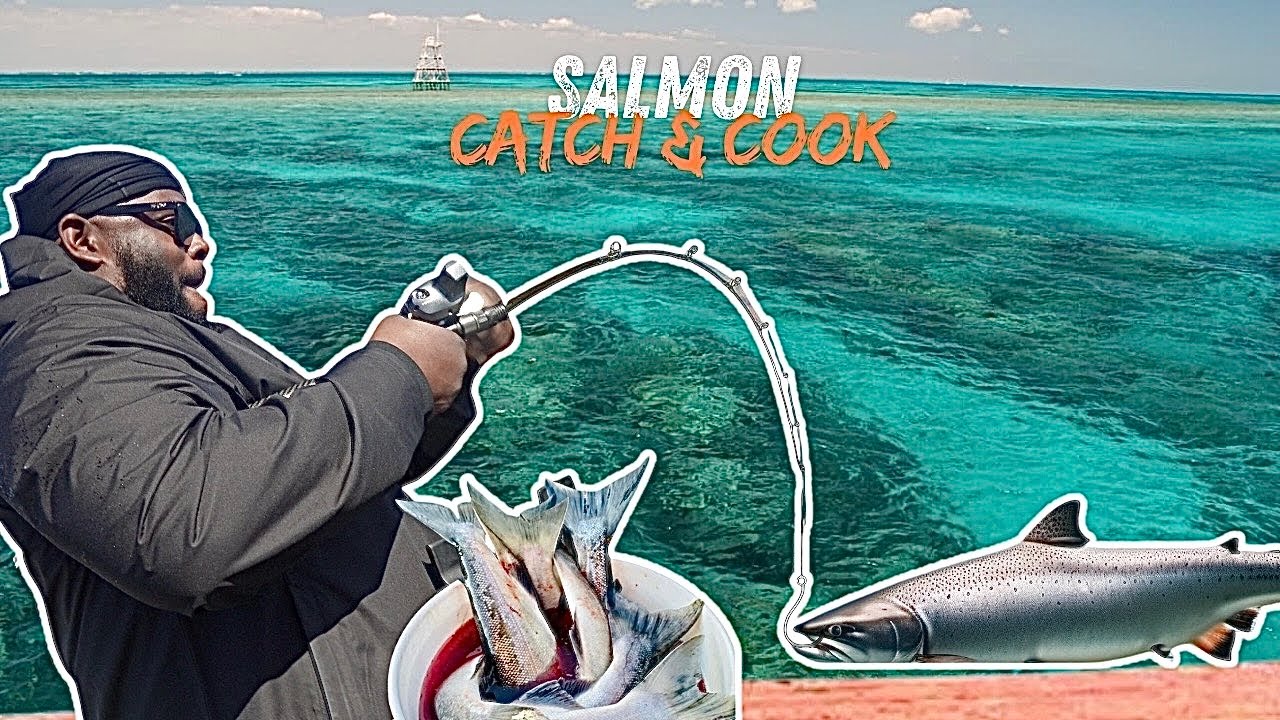 Salmon Fishing Catch And Cook!!! (How To Cook Salmon) - YouTube