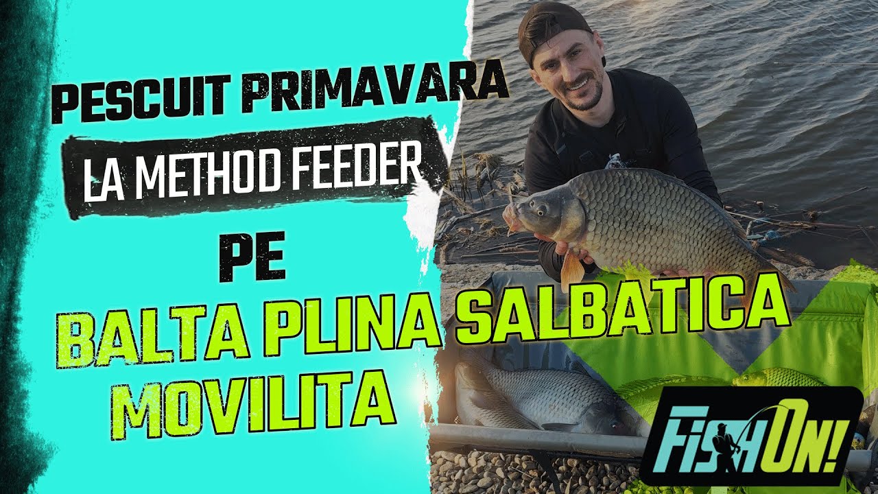 Pescuit la feeder primavara pe Balta Plina Salbatica Movilita - YouTube