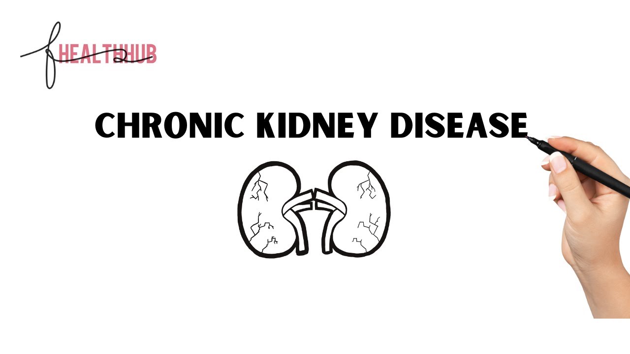 Chronic Kidney Disease (CKD): Causes, Symptoms and Treatment Options ...