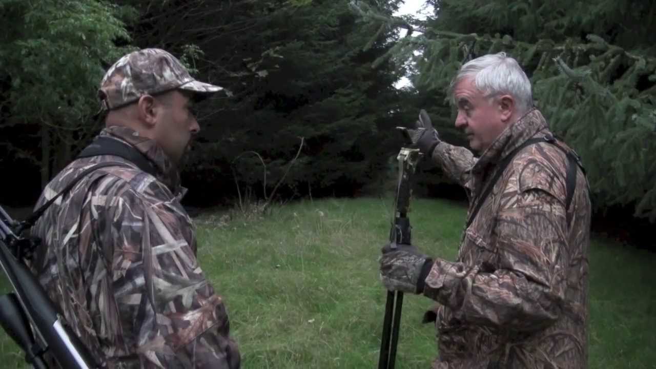 Roe Buck Hunting in Scotland Neck Shot - YouTube