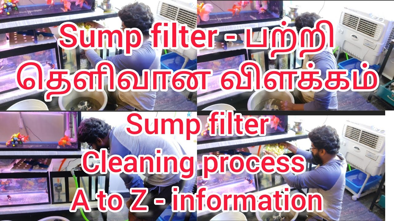 How to cleaning sump filter | இவ்வளவு தெளிவாக தமிழில் sump filter ...