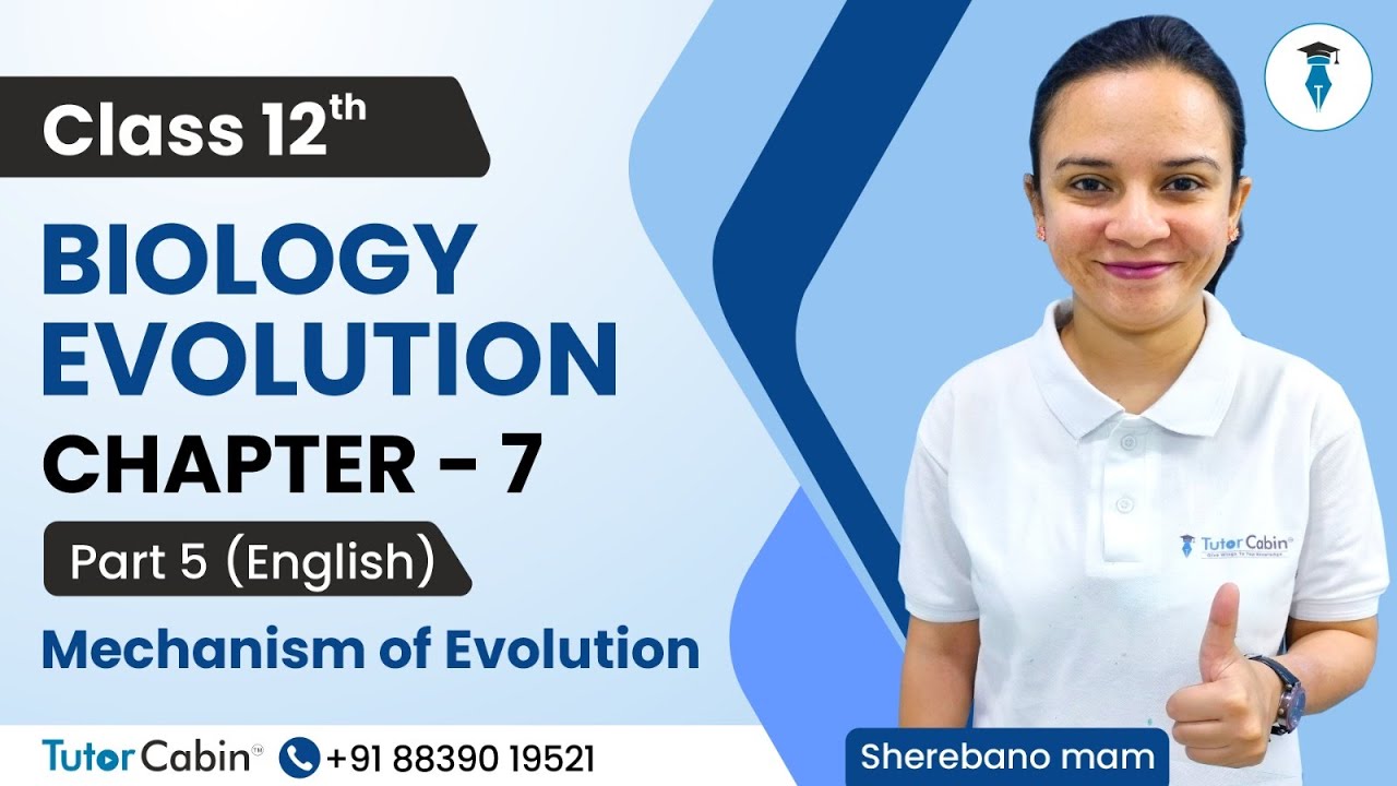 Class 12th Biology | Chapter -7 | Evolution Part - 5 | Mechanism of Evolution- (English ...
