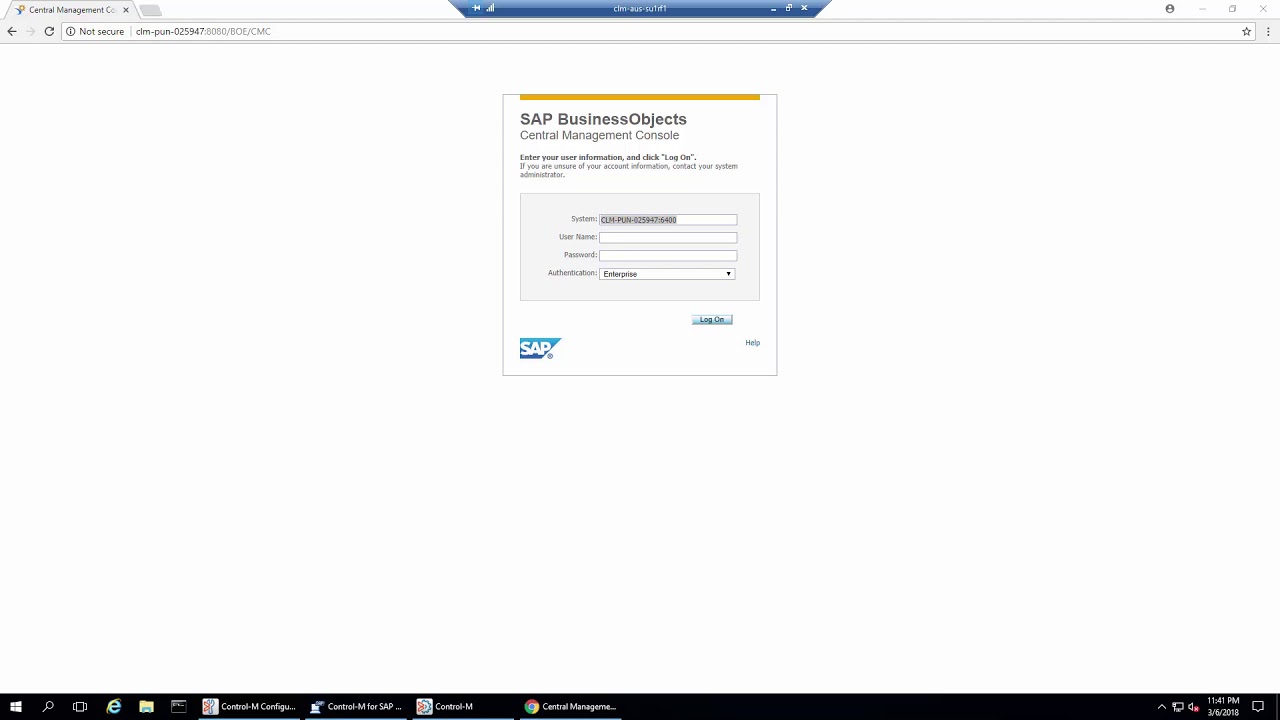 How to create and use a Control-M for SAP Business Objects profile ...