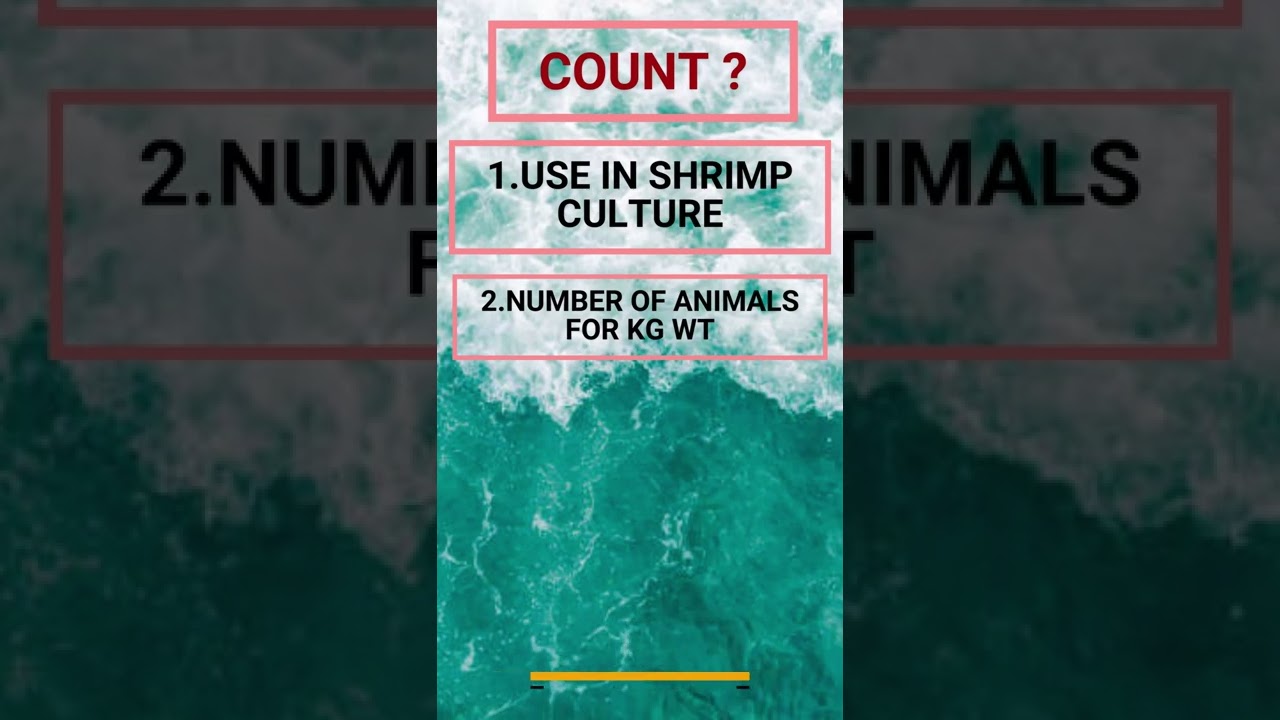 |SHRIMP COUNT SHORT VIDEO| VANAMEI COUNT | AM AQUA MASTER | - YouTube