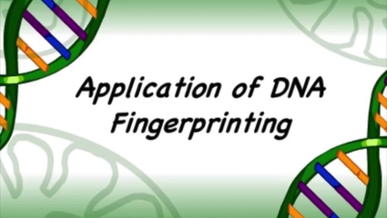 Extra lessons - YouTube