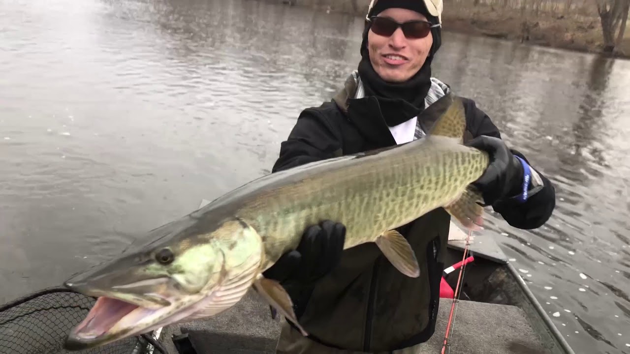 St. Patrick's Day Musky Hunt - 4 Fish Landed - YouTube