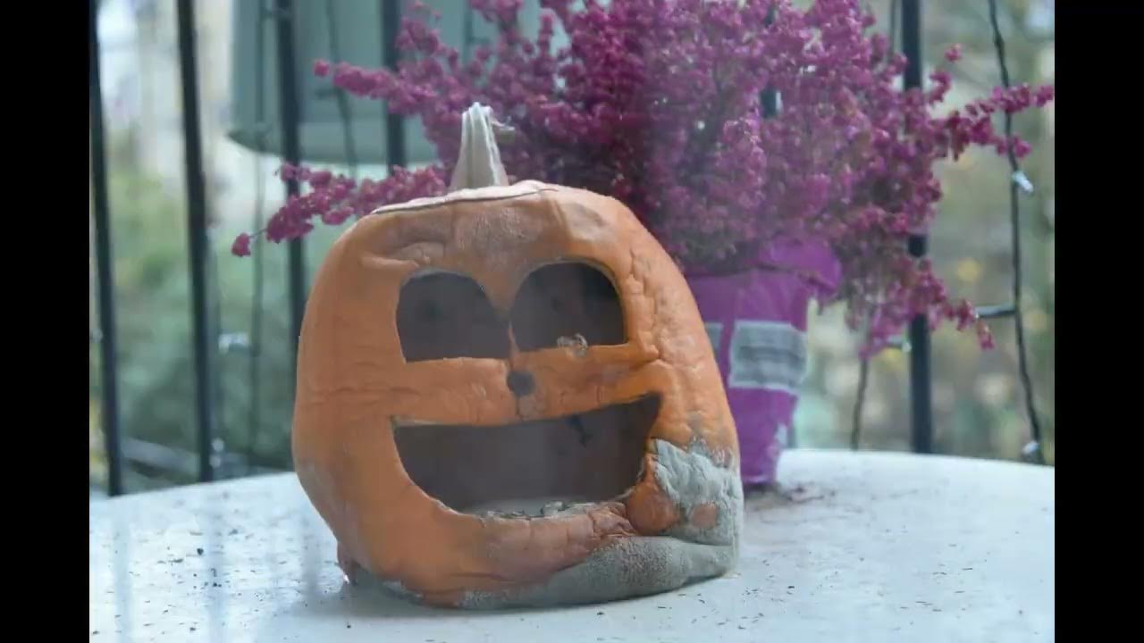 Pumpkin rotting timelapse - YouTube