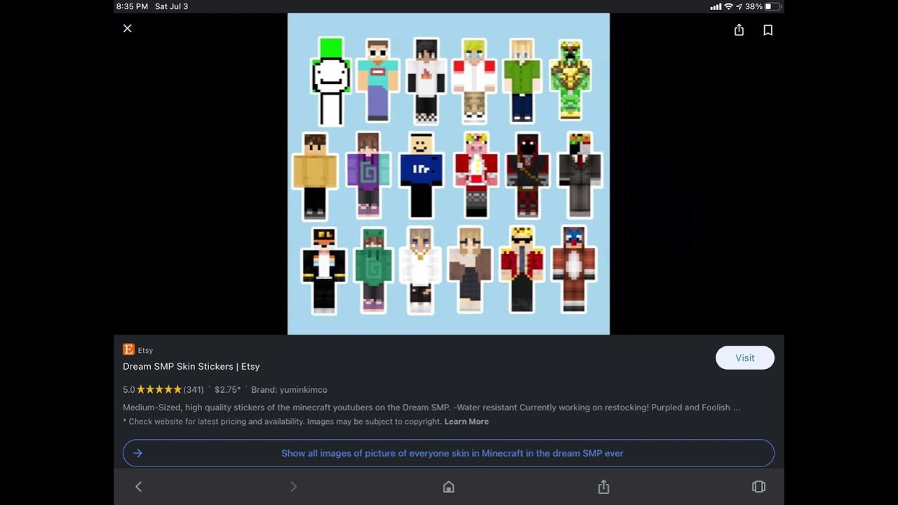 My brother guessing a dream SMP names - YouTube