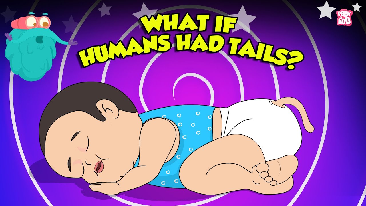 What If Humans Had Tails? | Human Anatomy | What if we Grow a Tail ...