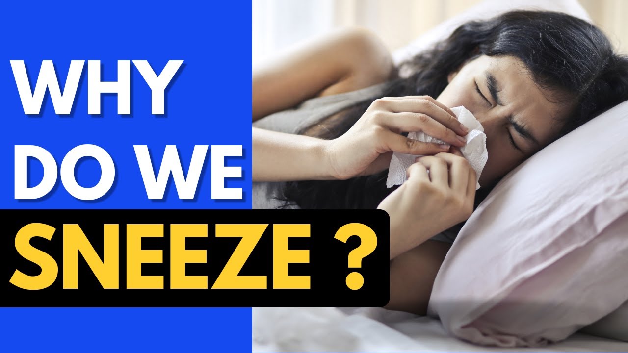 WHY DO WE SNEEZE? Human Body - YouTube