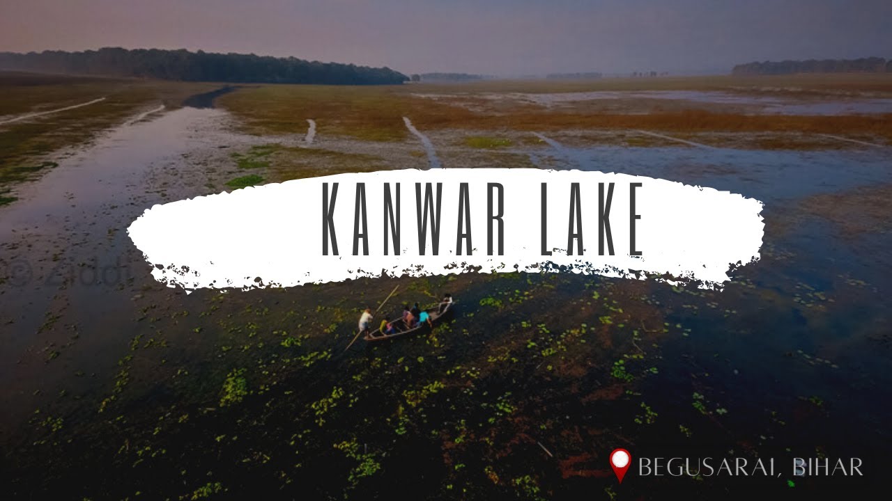 Kanwar Lake Begusarai #wetlands #begusarai #lake #international # ...