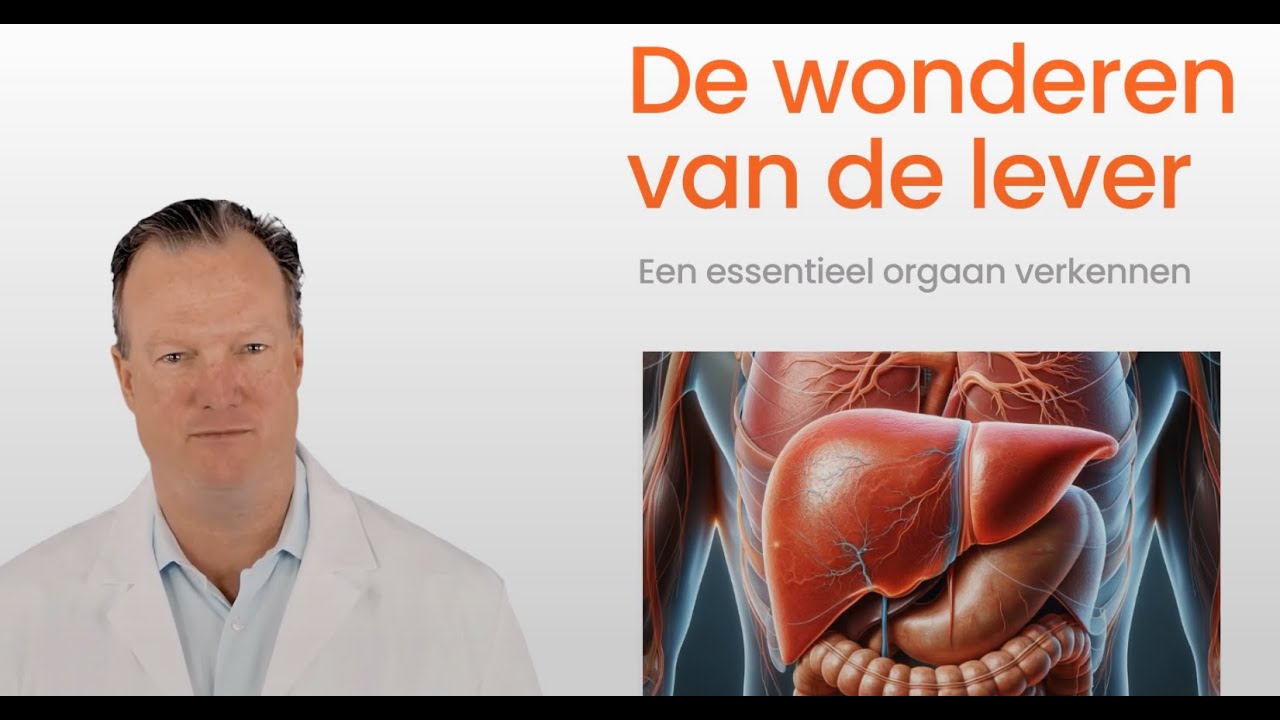 De Essentiële Functies van de Lever in het Lichaam - YouTube
