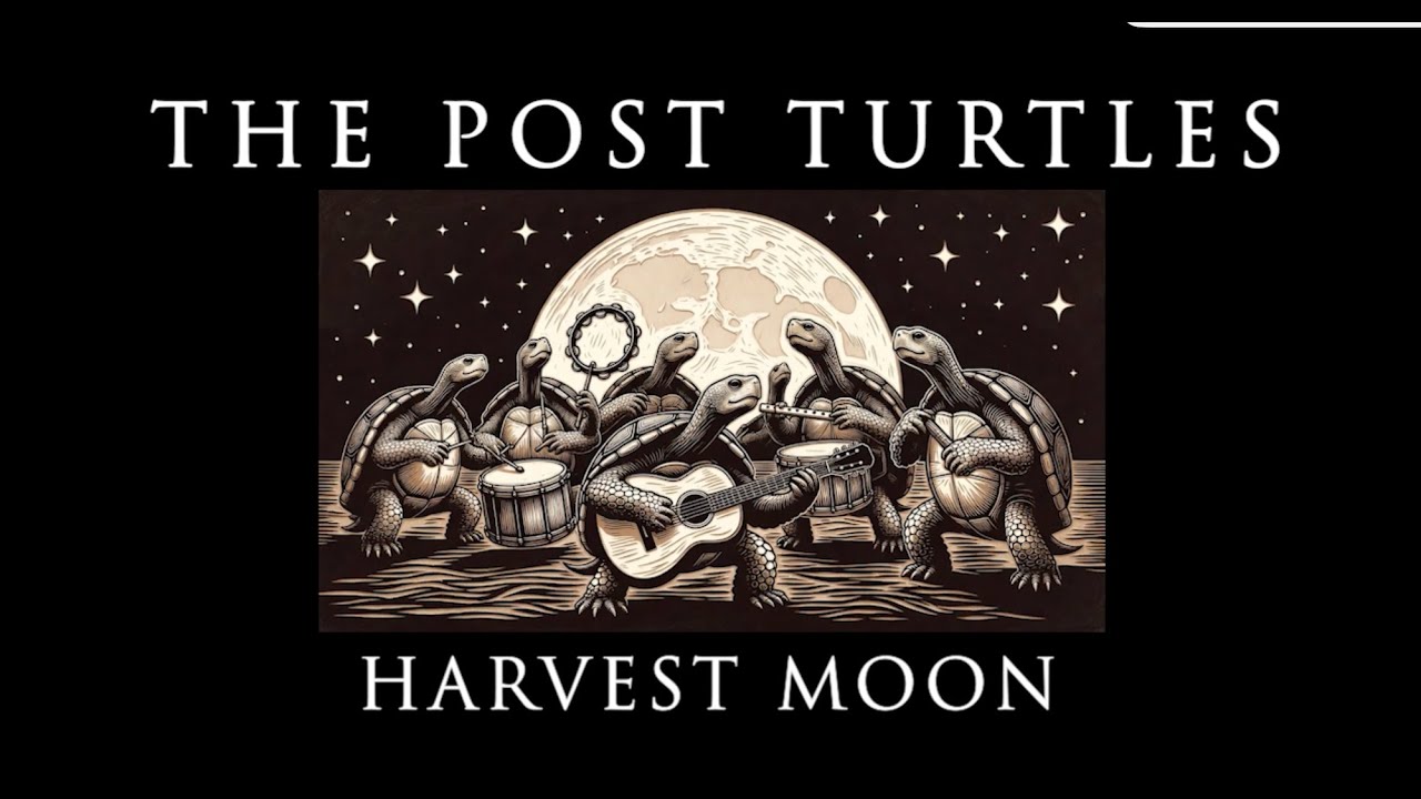 POST TURTLES / Harvest Moon - YouTube