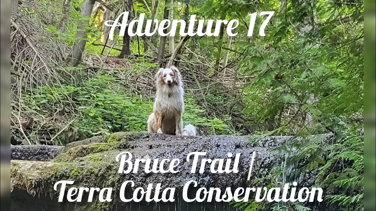 Adventure #17: Sneaking Into Terra Cotta Conservation Area on the Bruce ...