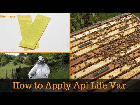 How To Use Api Life Var For Bees