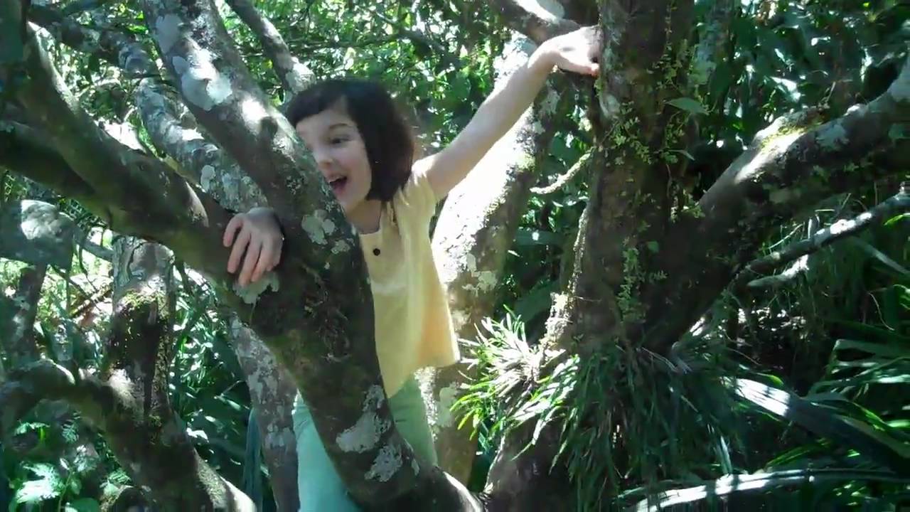 Hanna's favorite spot on the tree - YouTube