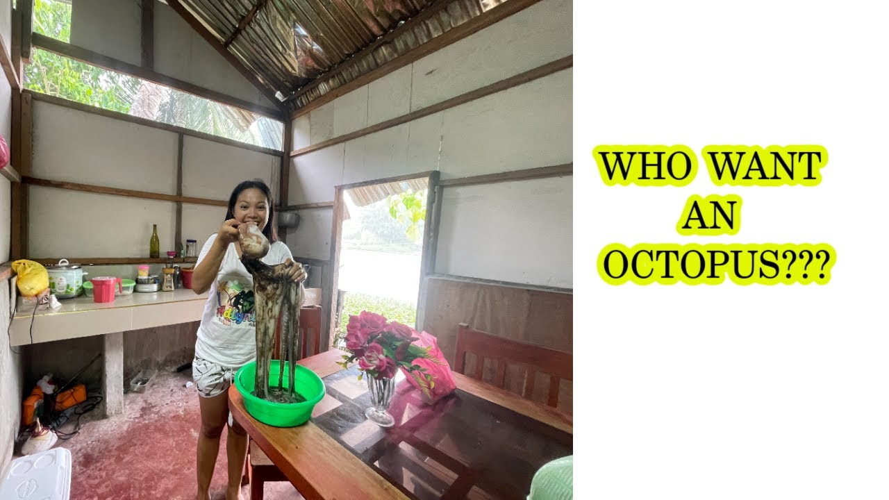 Octopus Feast in the Province / Simple life in the Philippines - YouTube