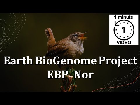 Earth BioGenome Project - EBP-Nor - in 1 minute - YouTube