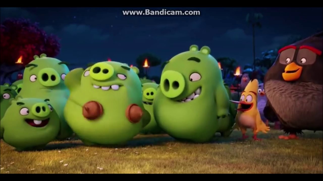 Pig in Plungers for 10 minutes - YouTube