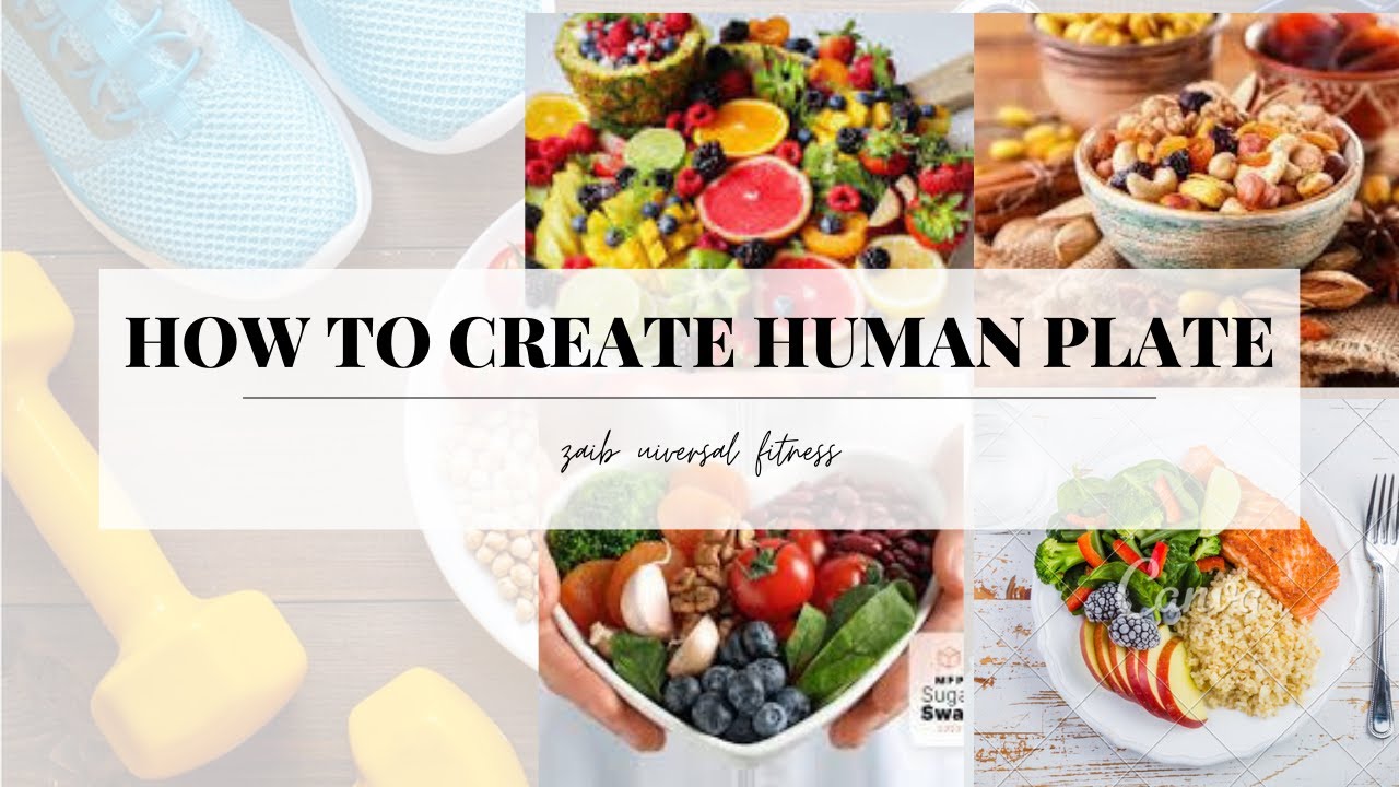 HOW TO CREATE HUMAN PLATE|ZAIB UNIVERSAL FITNESS| - YouTube
