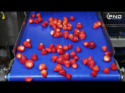 STRAWBERRY DE-CALYX MACHINE MOD.DF24 - YouTube