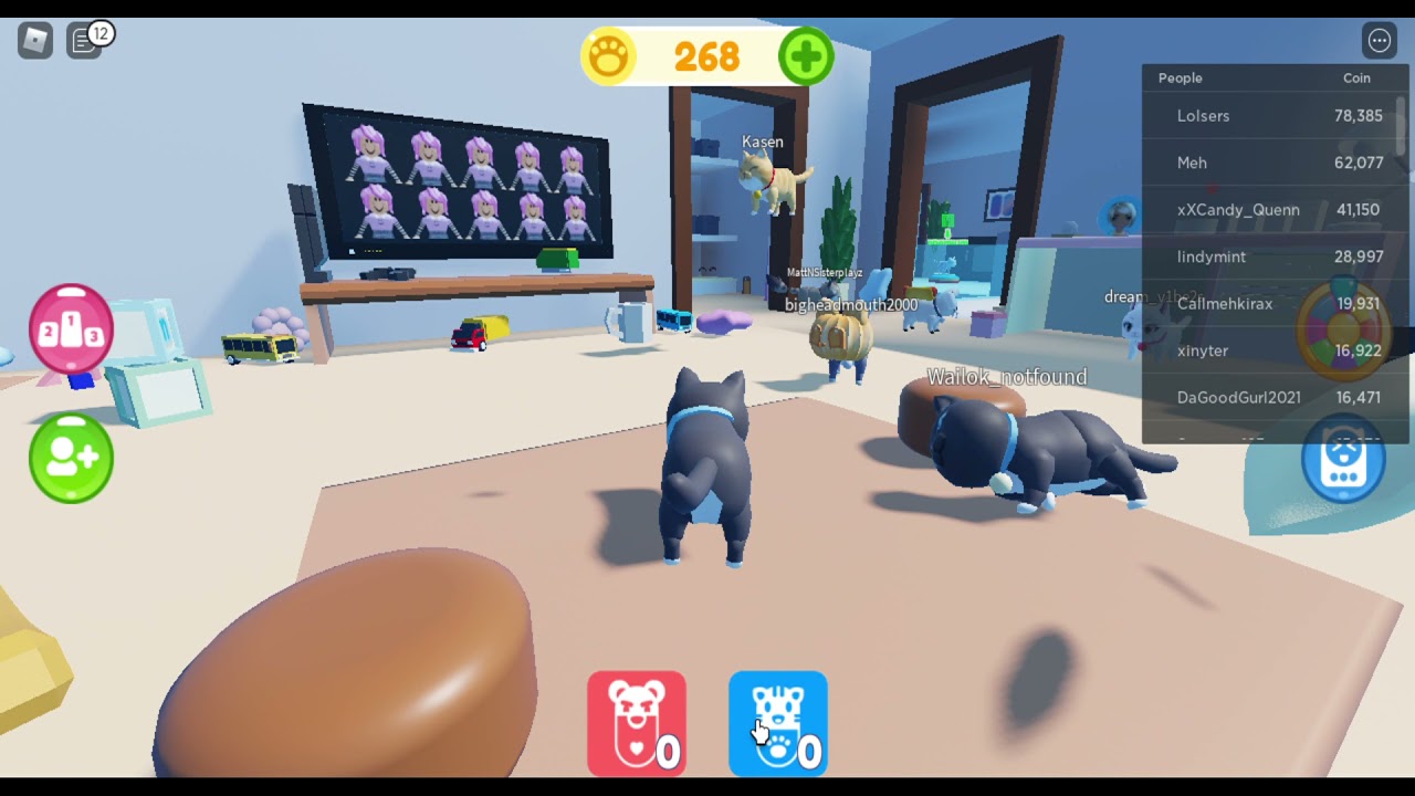 Cat destroyer - YouTube