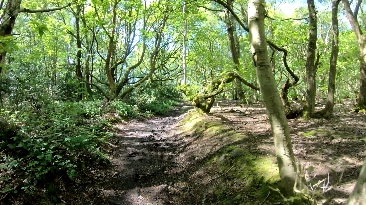 Meltham Mills Honley Wood 4K (walk) 15 Mar 18 (9a) - YouTube