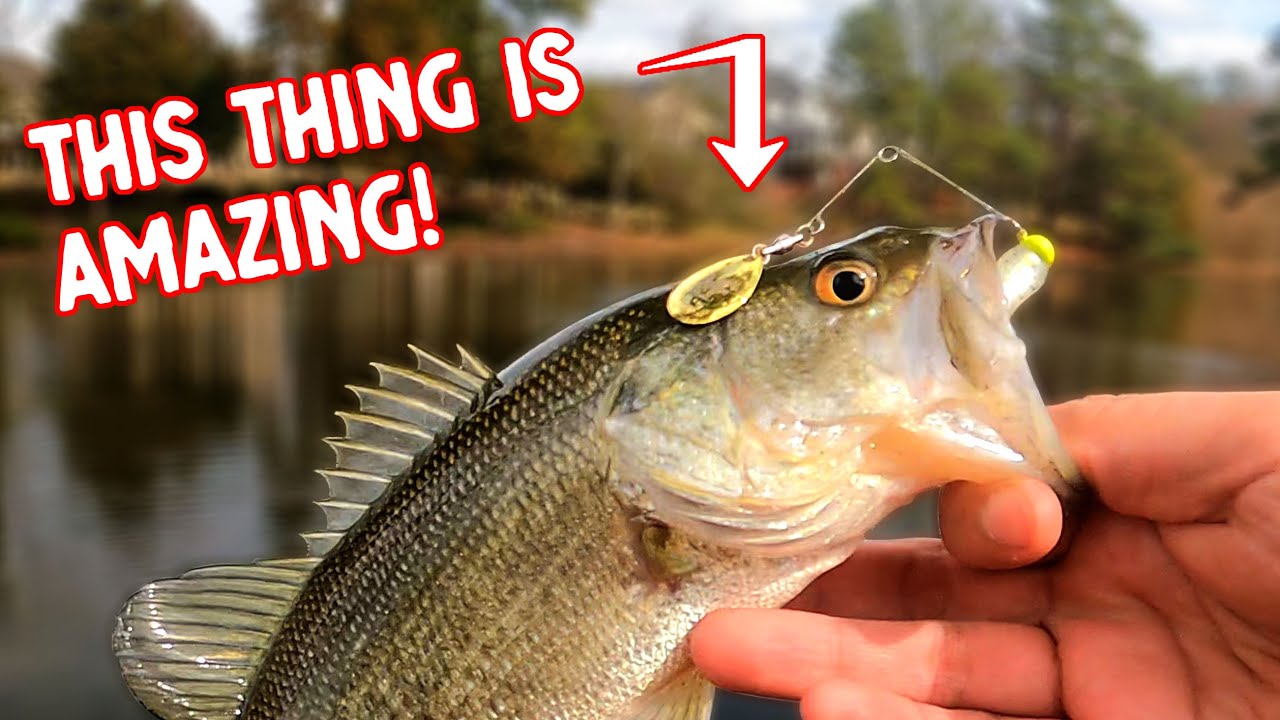 Jig Spinner Fishing to CATCH FISH! | Mule Fishing Bronco Blade - YouTube