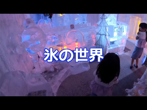 横浜コスモワールドに行ってきたよ