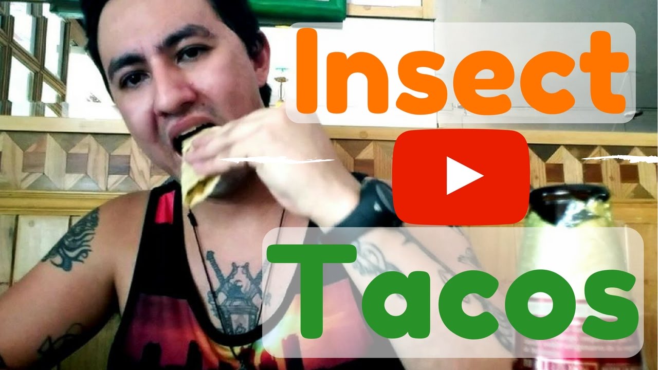 Exotic (insect) tacos in Mexico City - YouTube