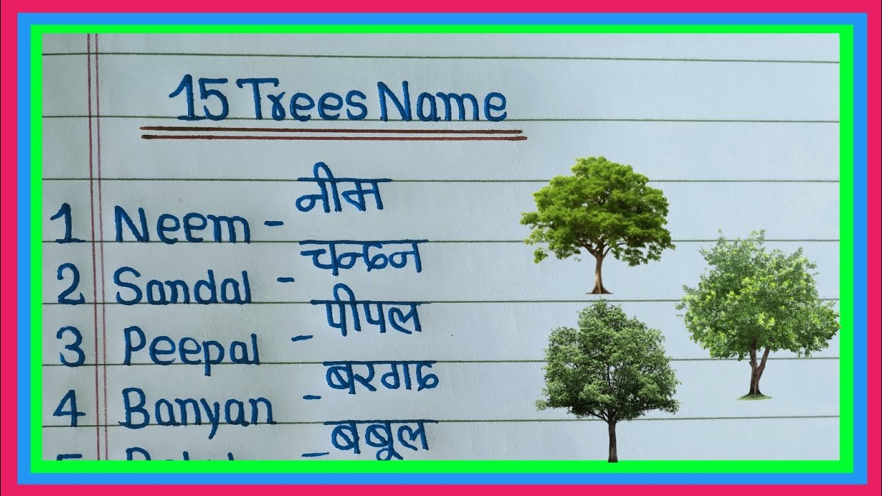 Tree Name | 15 Trees Name in English and Hindi | Trees ke Naam | 15 ...