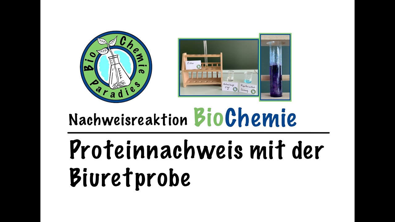 Nachweisreaktion BioChemie – Proteinnachweis mit der Biuretprobe - YouTube