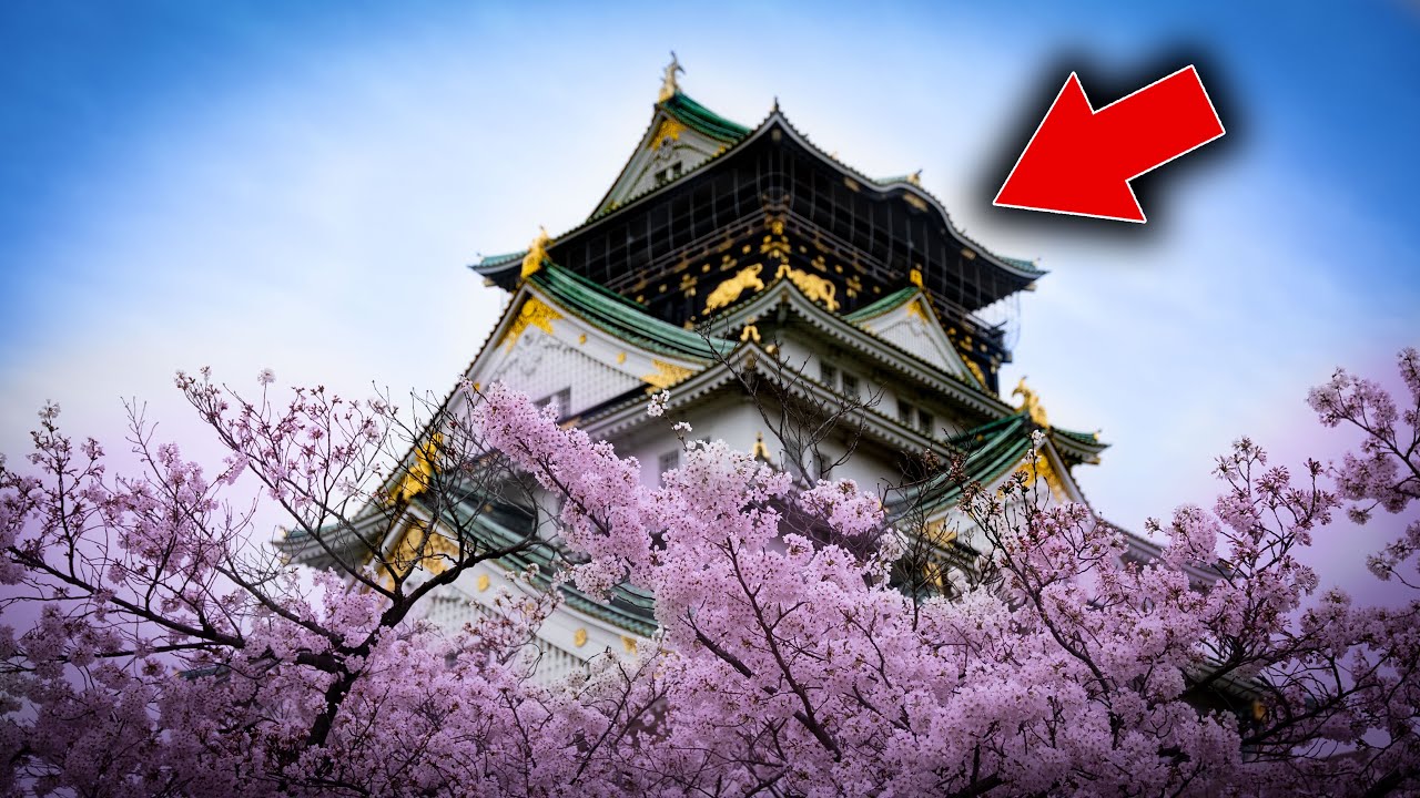 Exploring Spring Season in JAPAN | Beautiful Sakura Osaka Castle Park ...