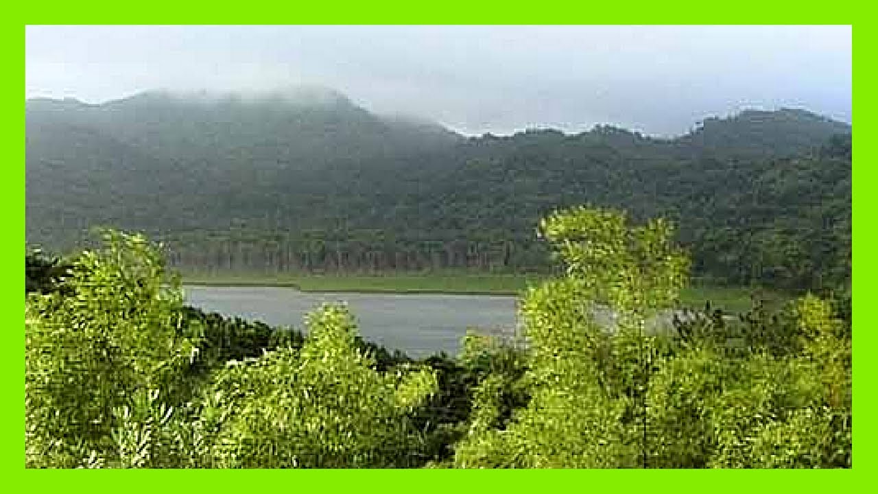 GRAND ETANG NATIONAL PARK & FOREST RESERVE ON GRENADA - YouTube
