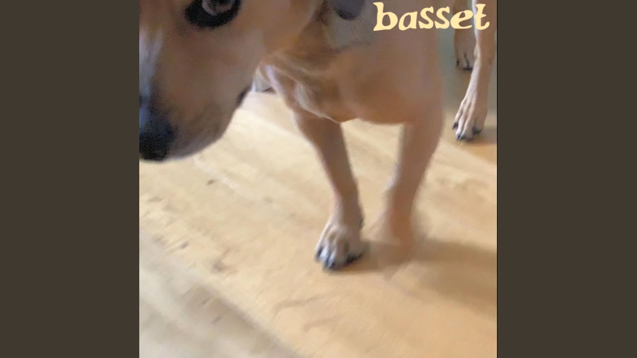 Psychedelic Funk Lobster Soul - YouTube