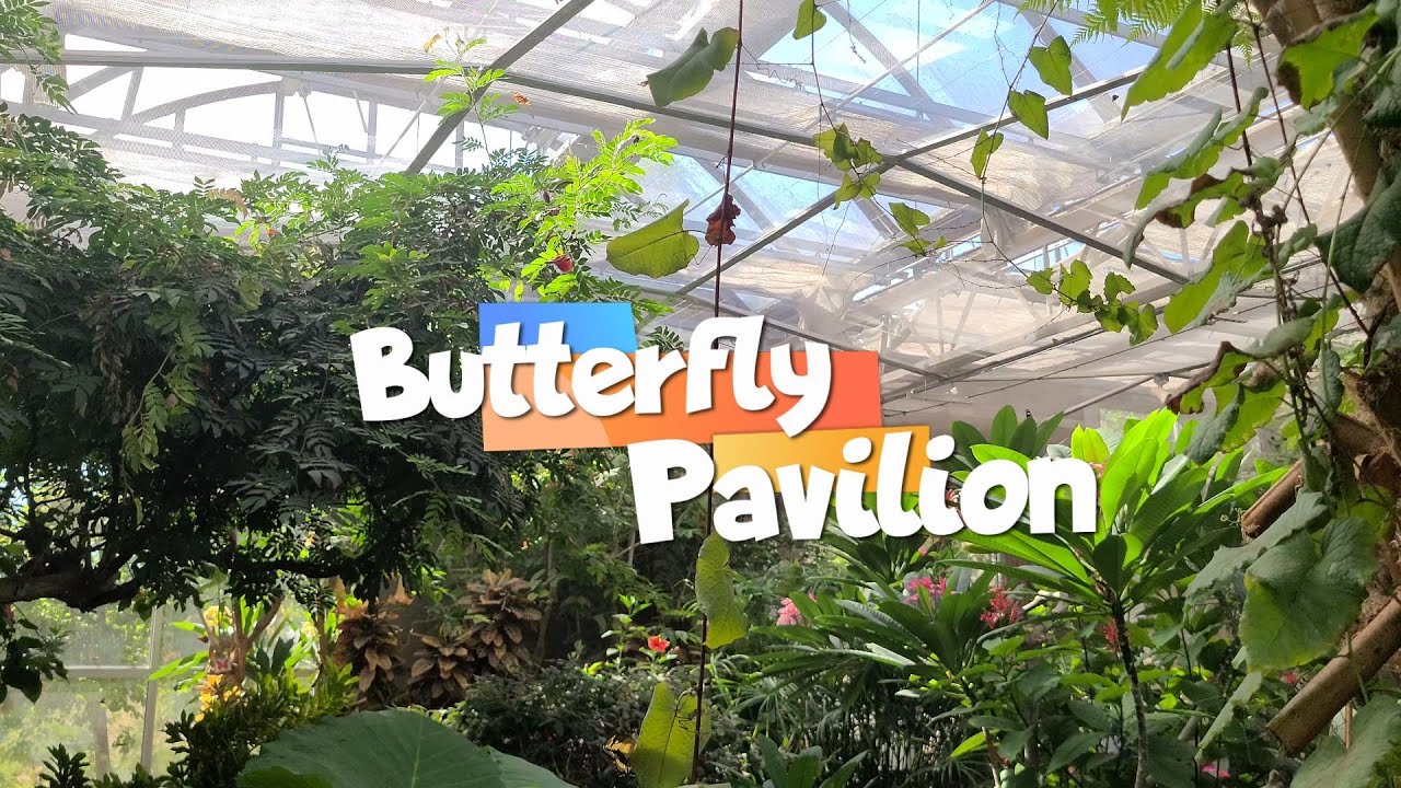 Butterfly Pavilion