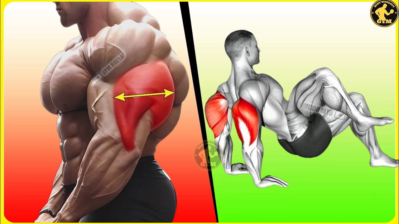 6 Different Triceps Exercises to Make Bigger Insane Triceps - YouTube