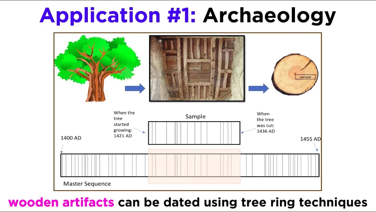 Applications of Dendrochronology - YouTube
