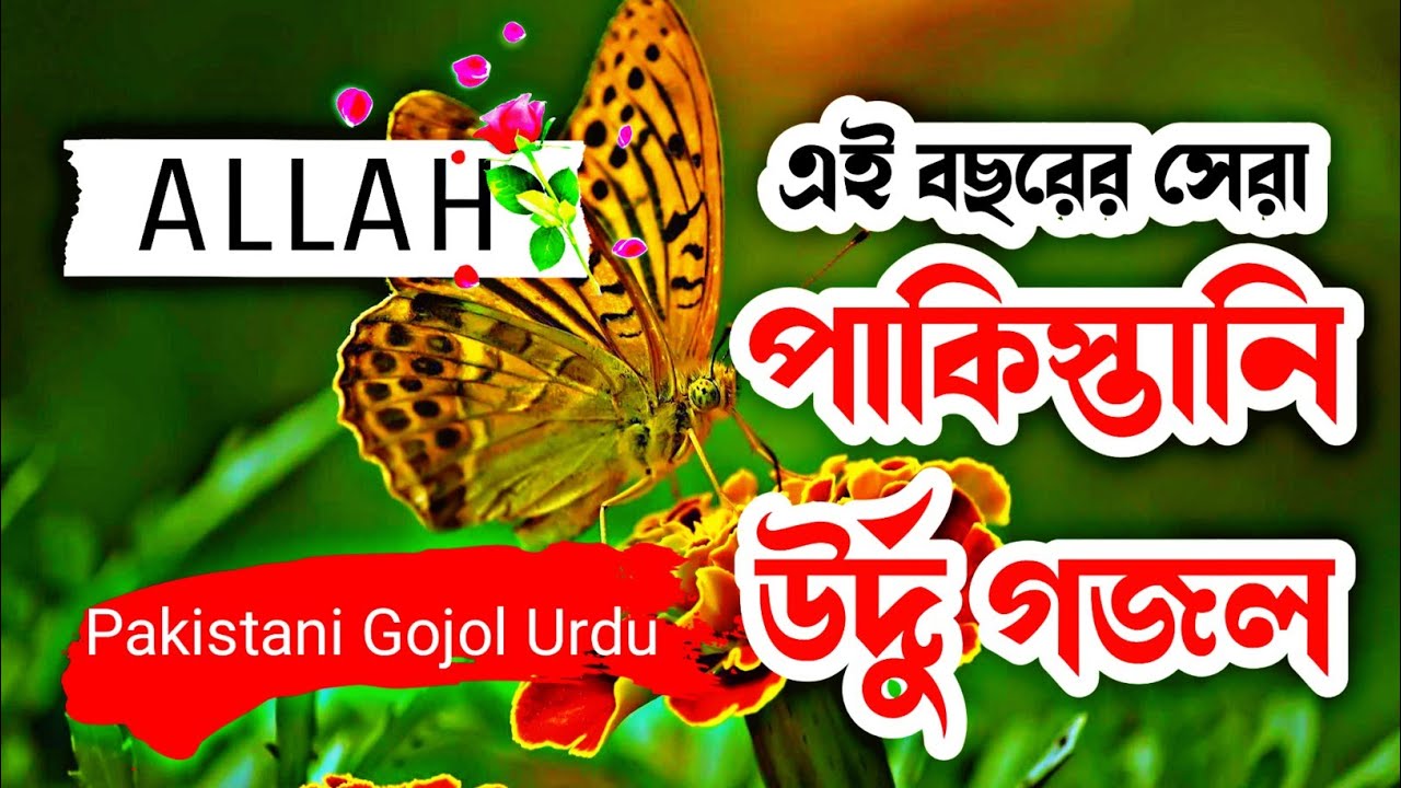#সেরা_উর্দু_গজল _urdu gojol_pakistani gojol_পাকিস্তানি গজল_urdu gojol ...