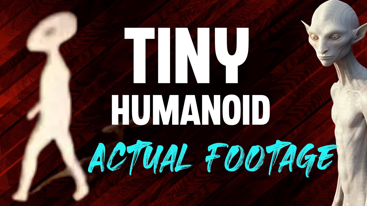 Tiny Humanoid ACTUAL FOOTAGE - YouTube