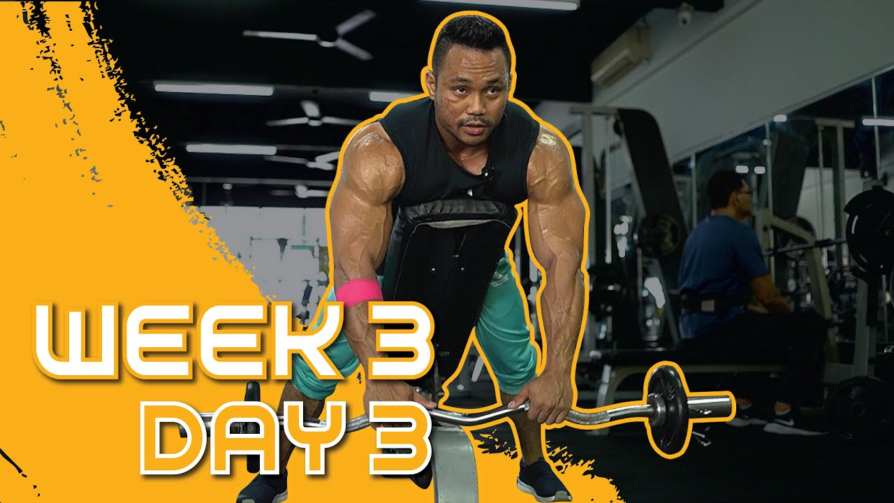 WORKOUT ROUTINE │ Week 3 Day 3 , EXERCISES for SHOULDER, BICEPS AND ...