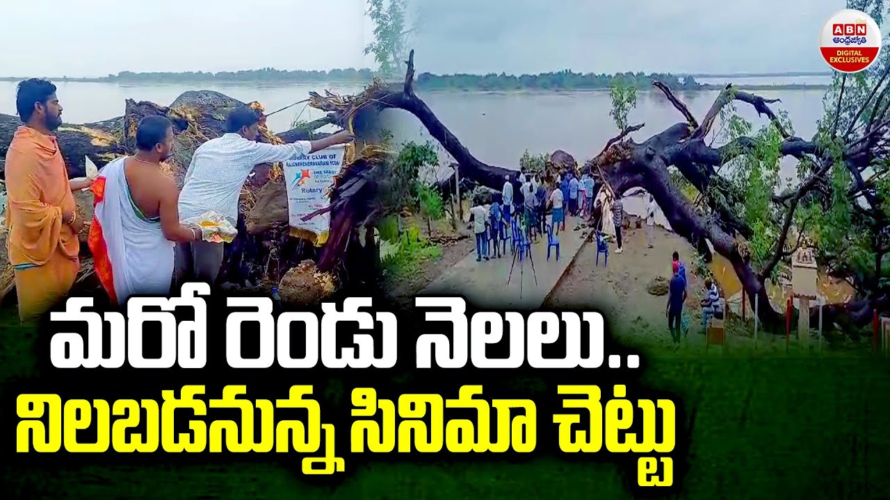Cinema Tree Uprooted : మరో రెండు నెలలు..నిలబడనున్న సినిమా చెట్టు ...